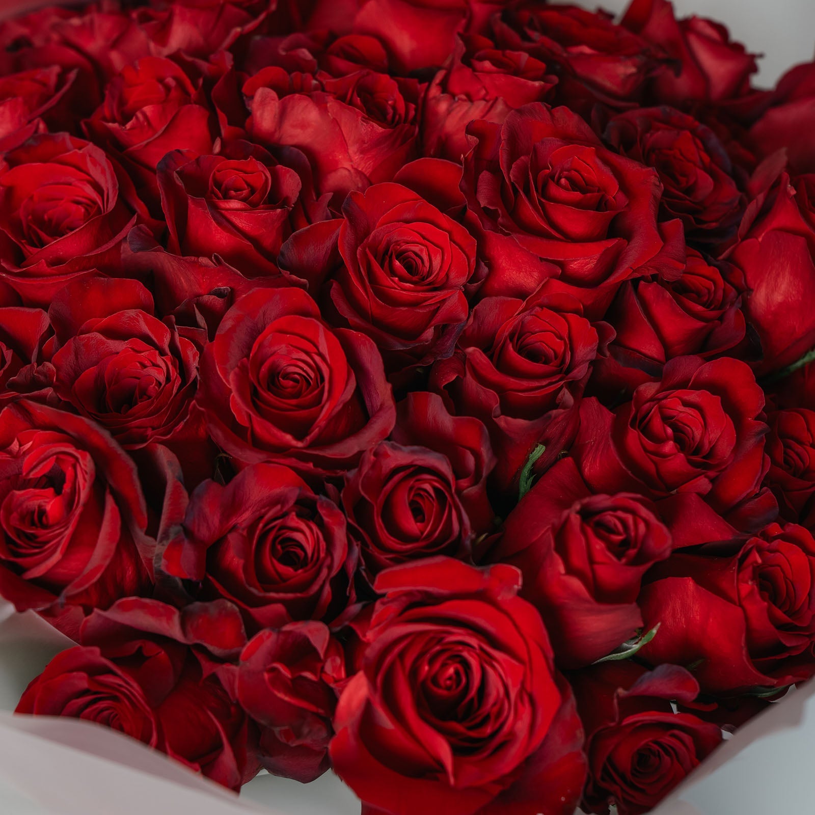 Roses Delivery | Luxury Rose Bouquets | Fresh Roses – Flowers Valley Shop